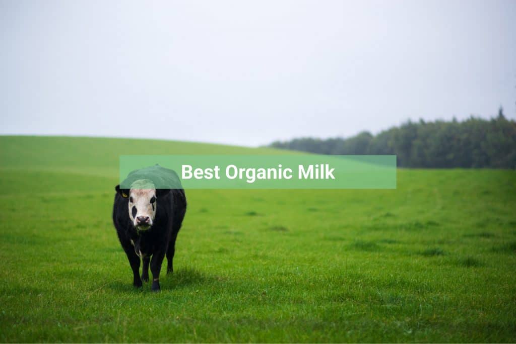 10 Best Organic Milk Brands (2022) — Loyal Organic