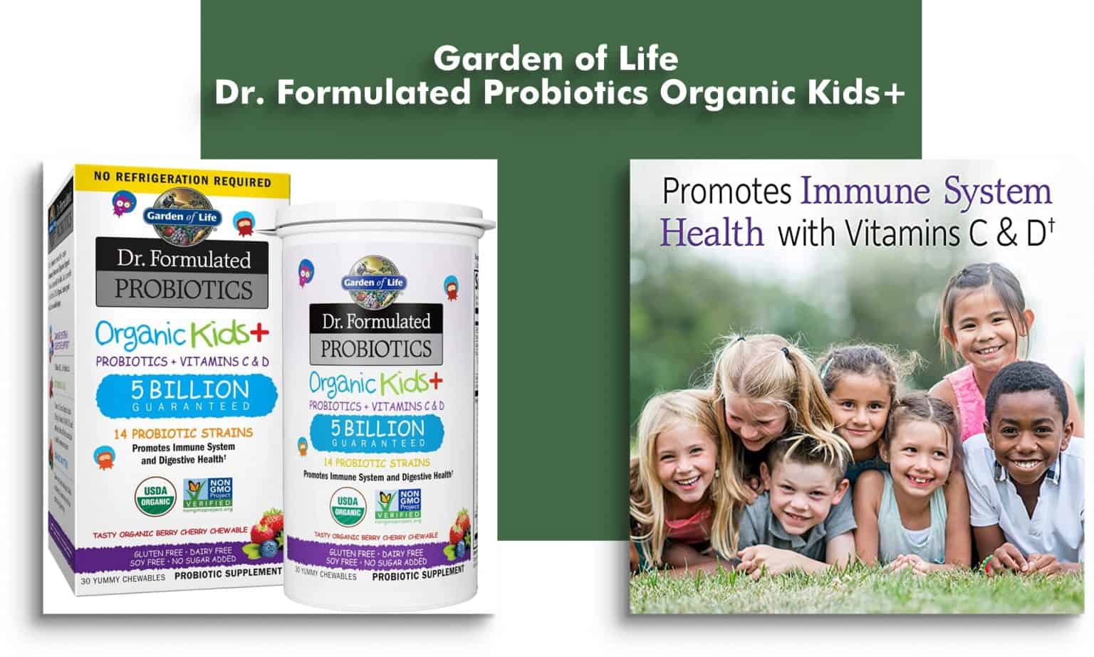 The 10 Best Organic Probiotics — Loyal Organic