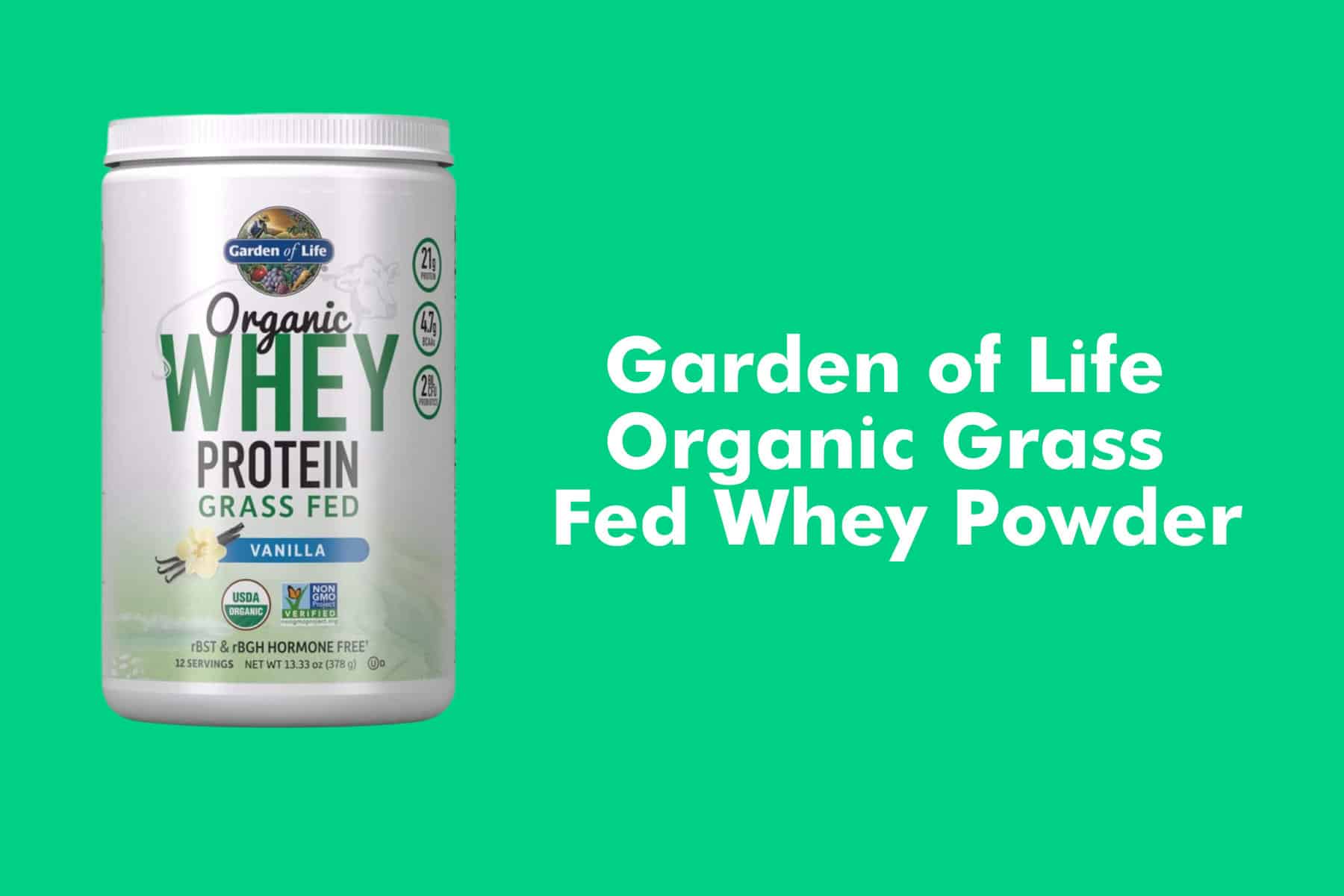 10 Best Organic Protein Powders — Loyal Organic